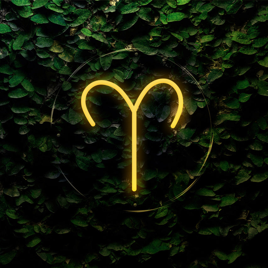 Products – Scribble - LED Neon signage